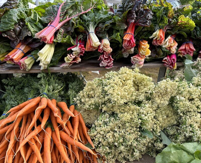 Historic Lewes Farmers Market